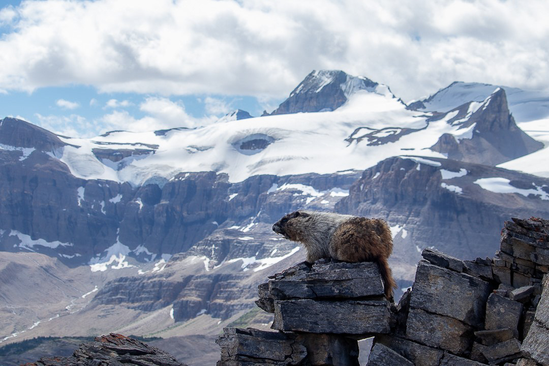 Hike the Canadian Rockies