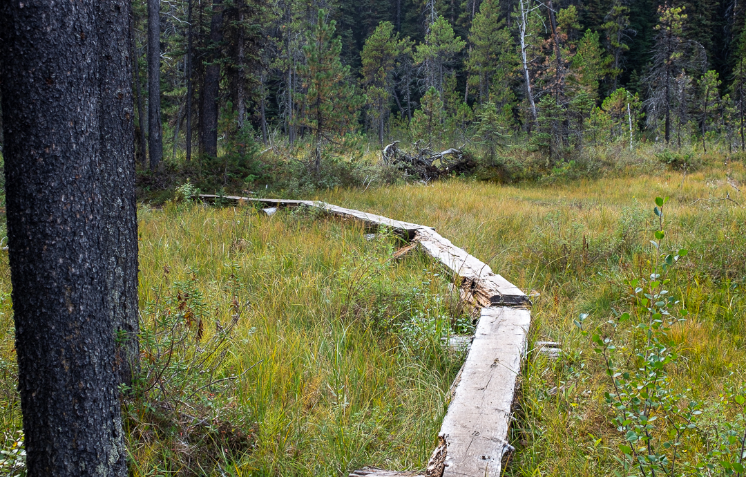 Hike the Canadian Rockies