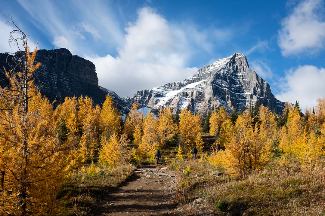 Hike the Canadian Rockies