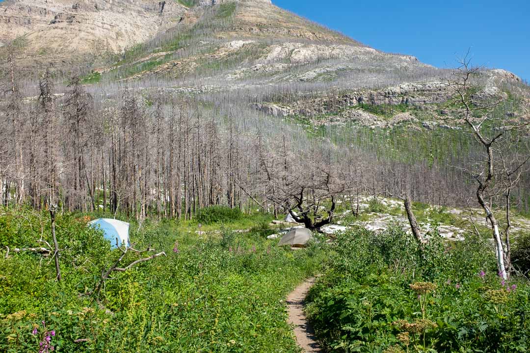 Hike the Canadian Rockies