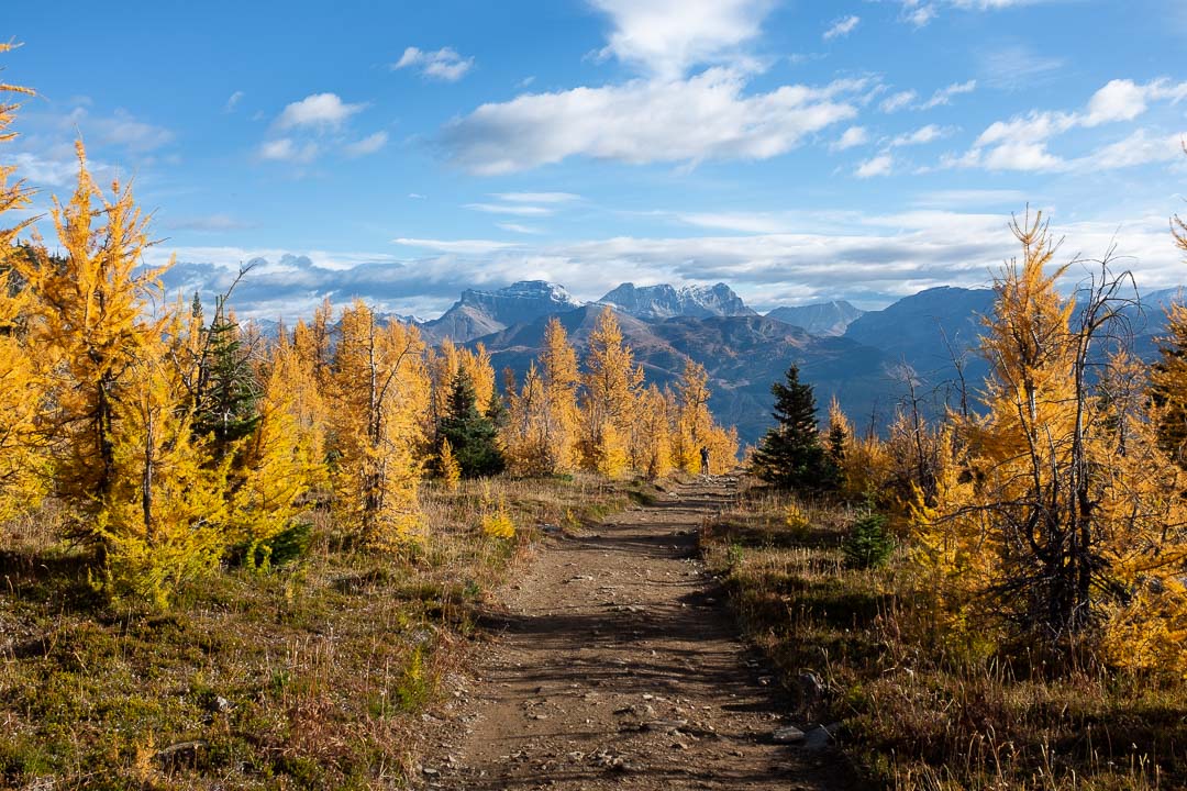 Hike the Canadian Rockies