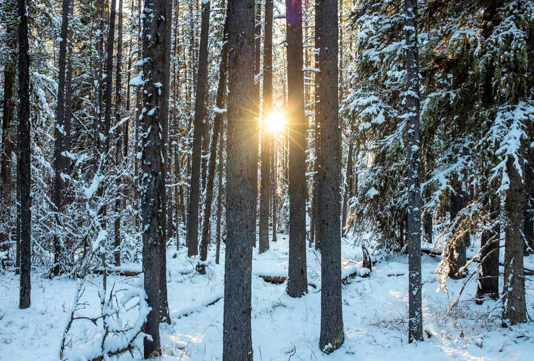 Hike the Canadian Rockies