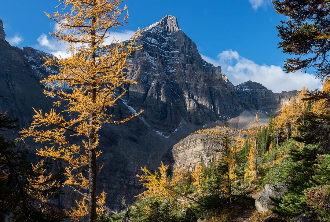 Hike the Canadian Rockies