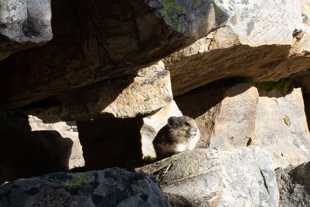 Hike the Canadian Rockies