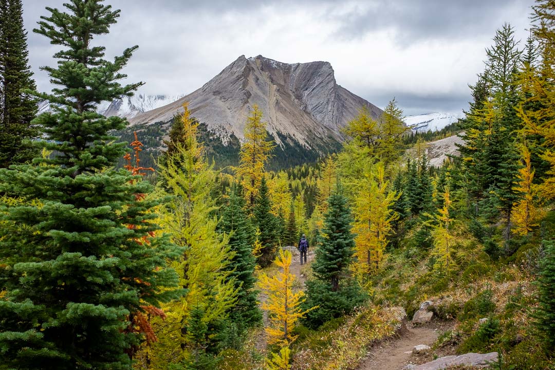 Hike the Canadian Rockies