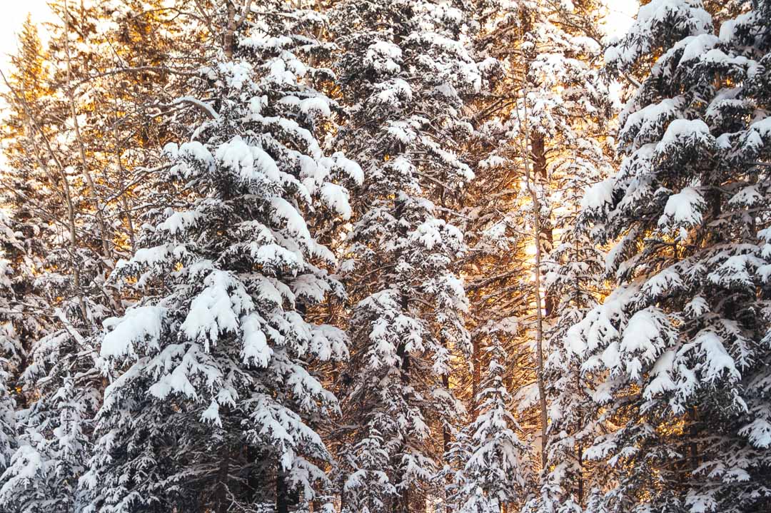 Hike the Canadian Rockies
