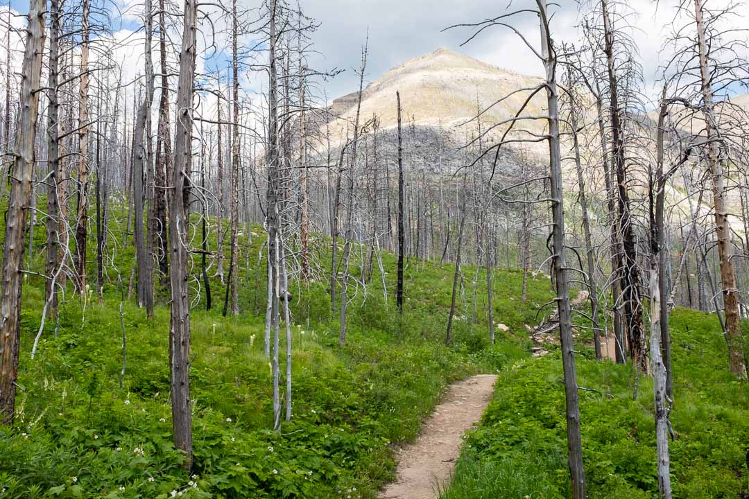 Hike the Canadian Rockies