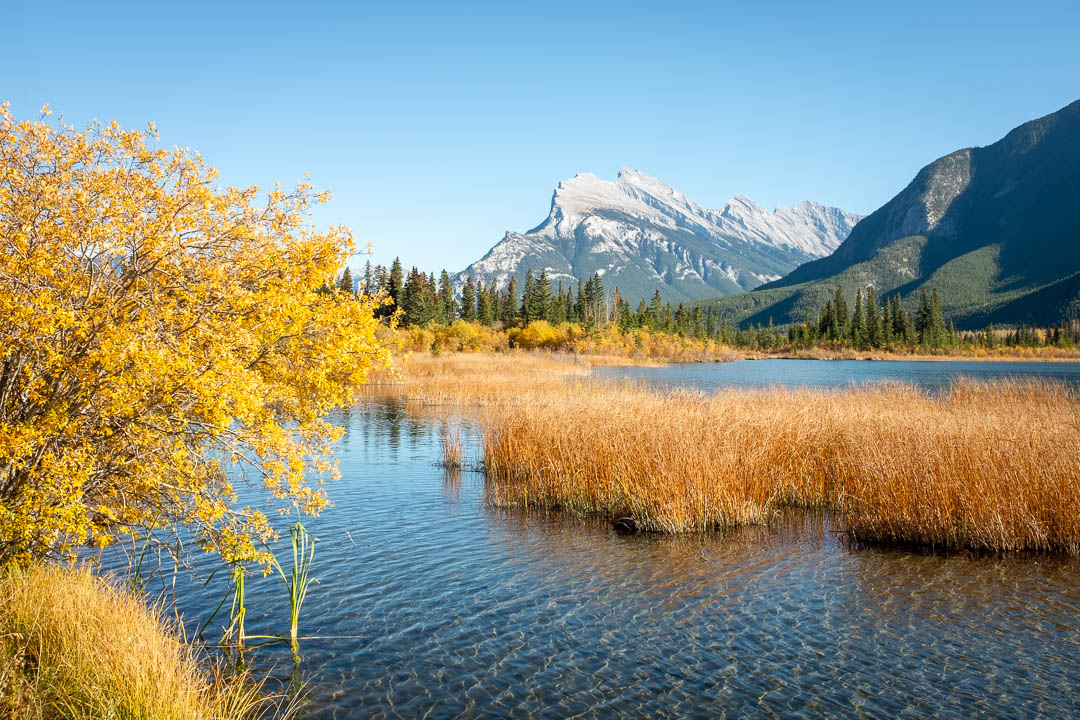 Hike the Canadian Rockies