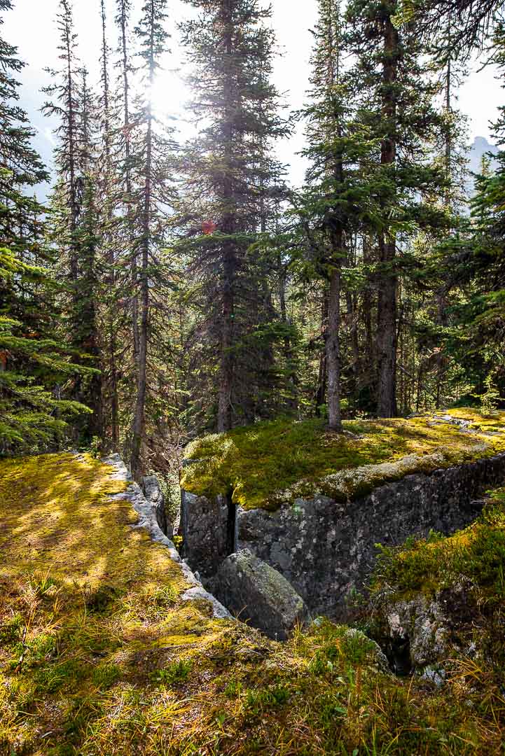 Hike the Canadian Rockies
