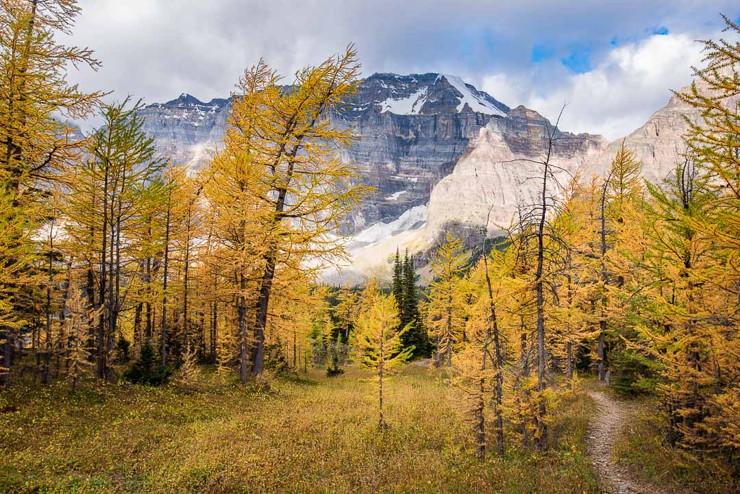 Hike the Canadian Rockies