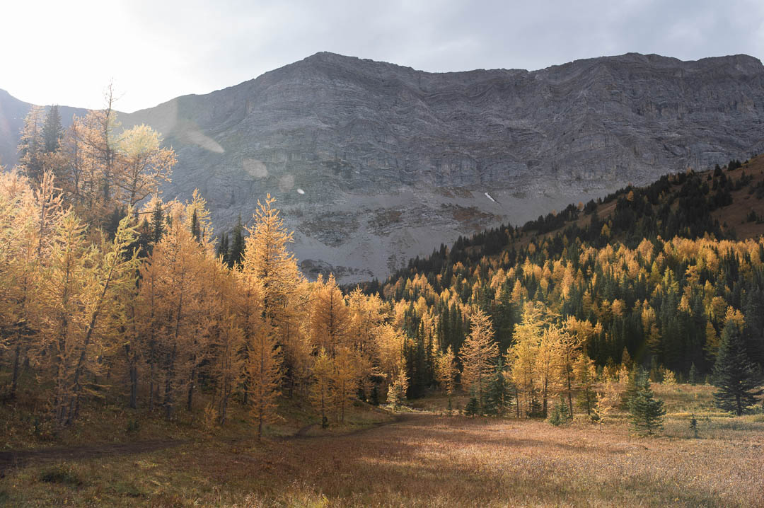 Hike the Canadian Rockies