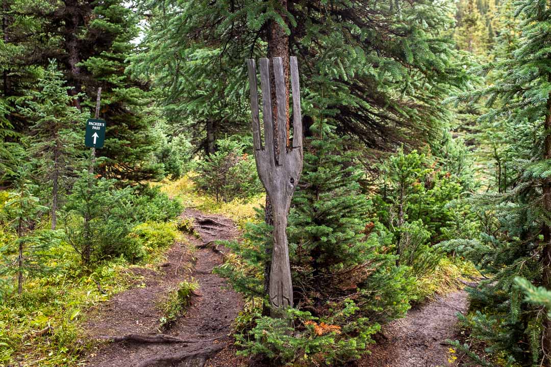 Hike the Canadian Rockies