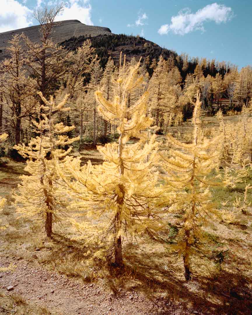Hike the Canadian Rockies