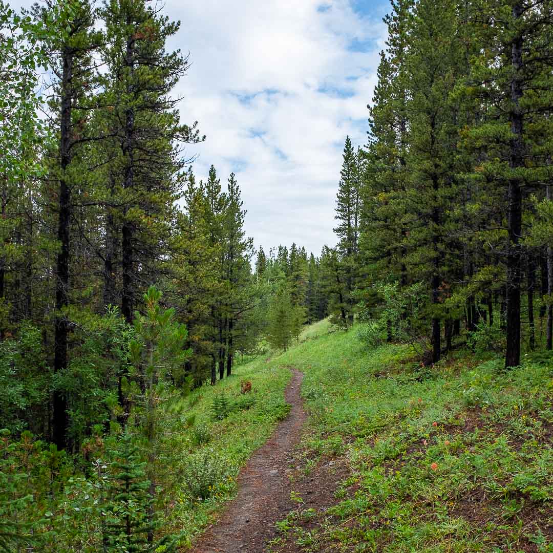 Hike the Canadian Rockies
