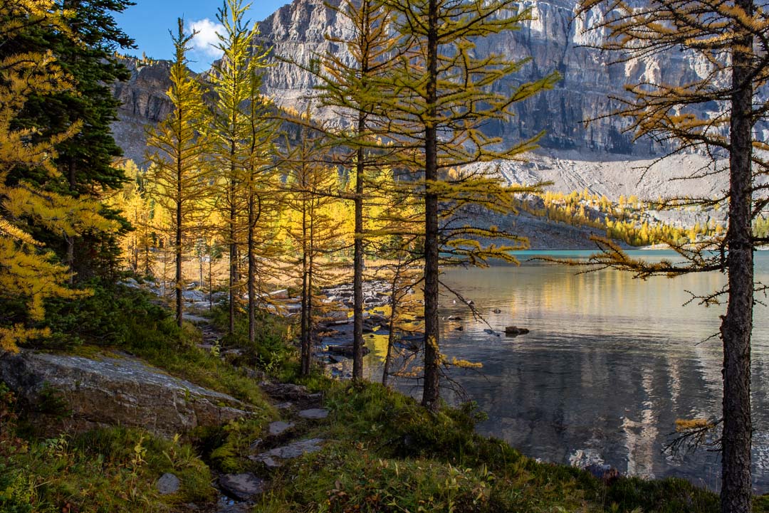 Hike the Canadian Rockies