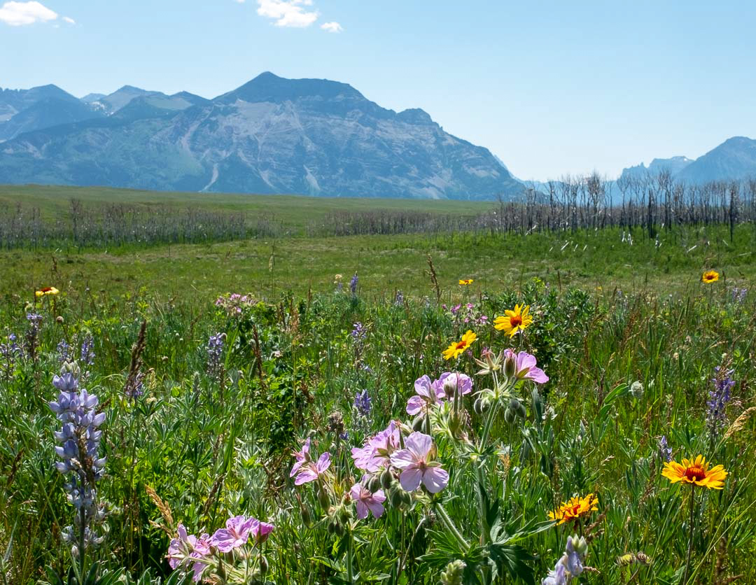 Hike the Canadian Rockies