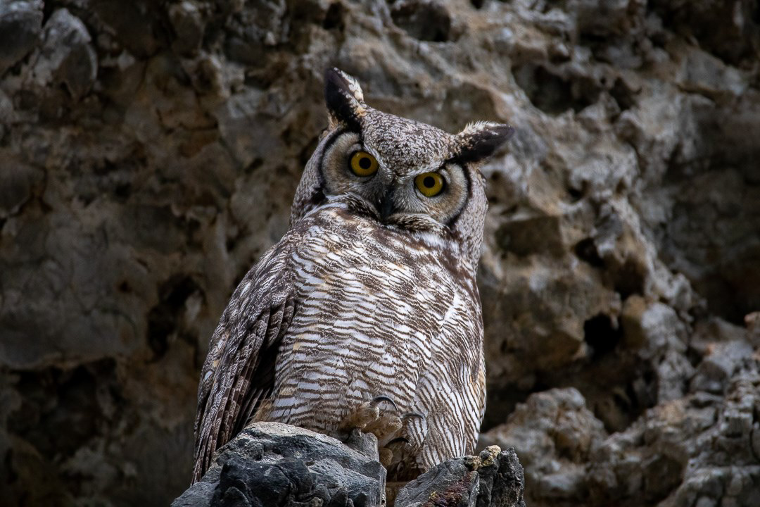 Hike the Canadian Rockies