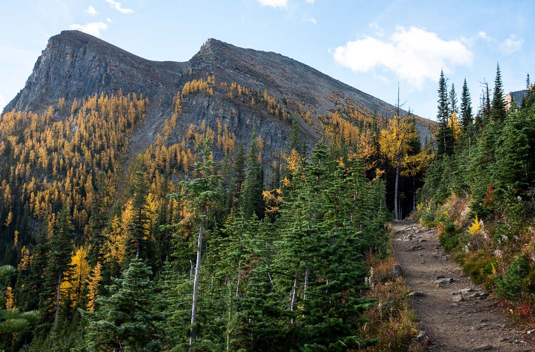 Hike the Canadian Rockies