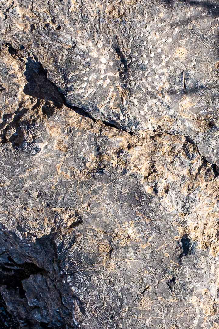 Hike the Canadian Rockies