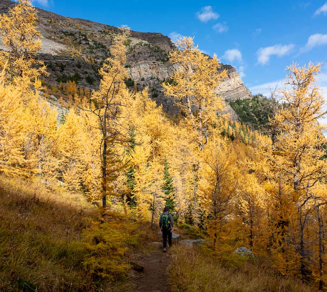 Hike the Canadian Rockies
