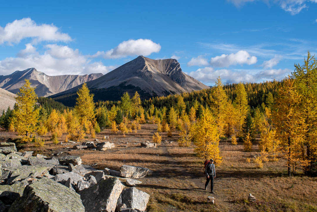 Hike the Canadian Rockies